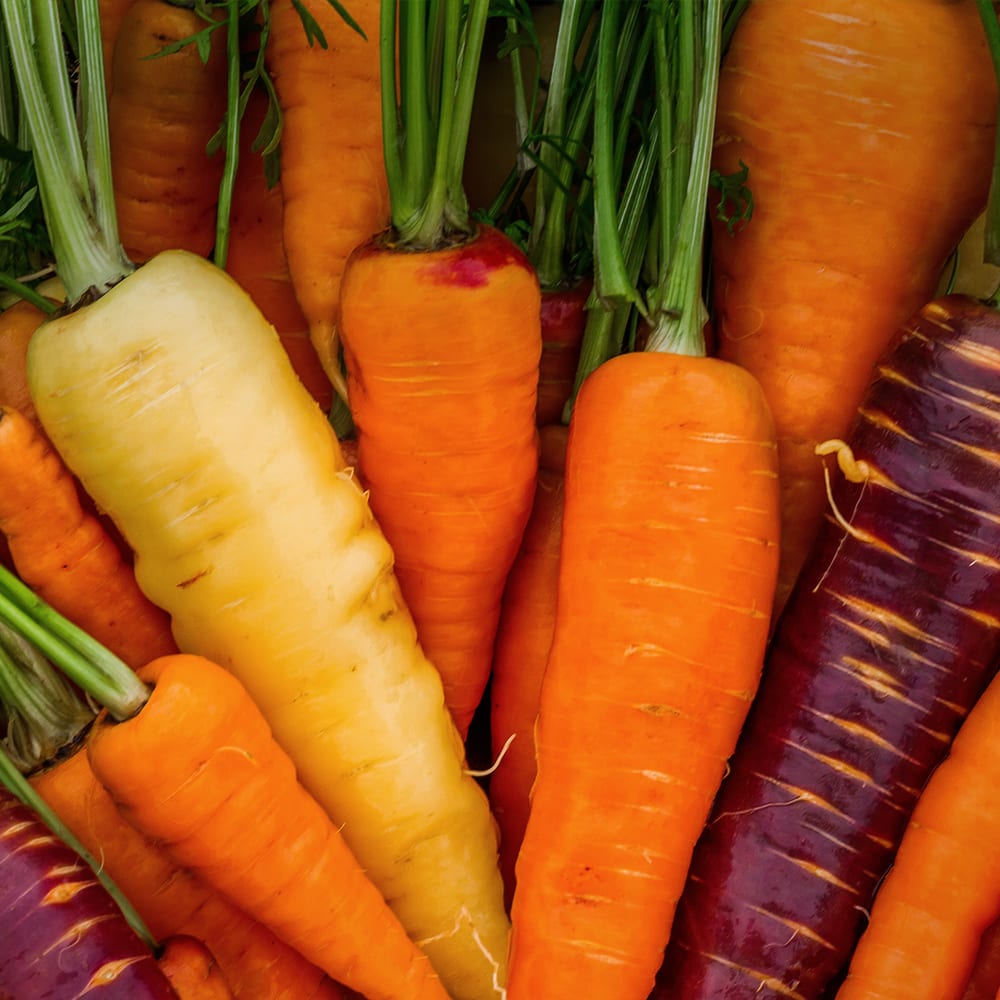 How to eat clean and save your green | MedPost